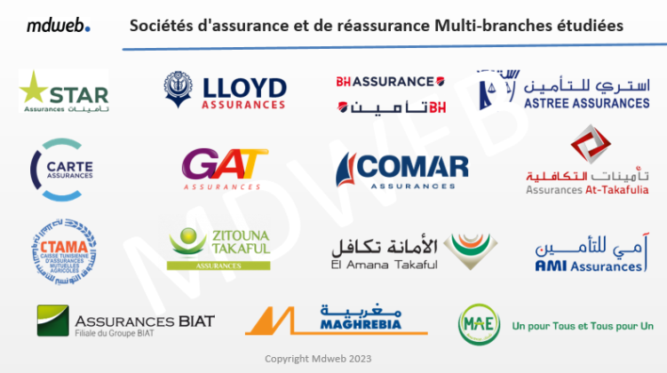 Classement de l’e-présence des compagnies d’assurance en Tunisie : MDWEB dévoile les leaders du ...