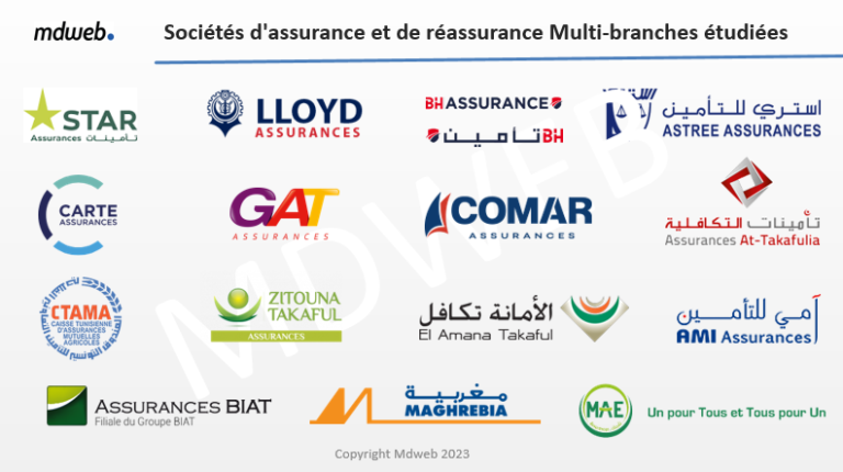 Classement de l’e-présence des compagnies d’assurance en Tunisie ...