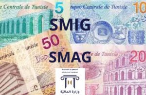 Tunisie : Le SMIG et le SMAG augmentent dès janvier 2025 - Entreprises ...